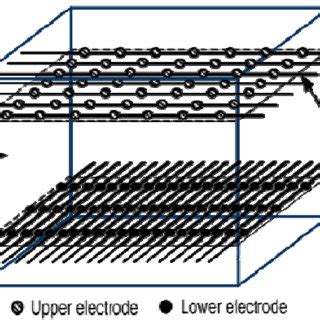 The Model Of The Tactile Sensor Array Download Scientific Diagram