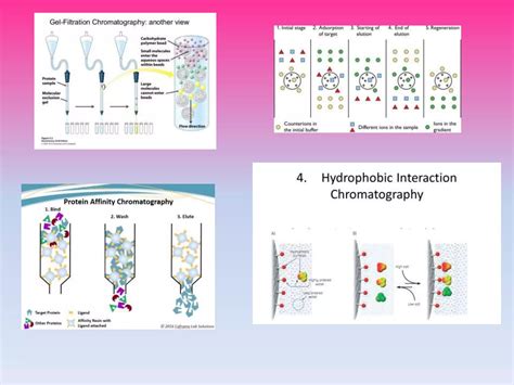 Downstream Processing Ppt