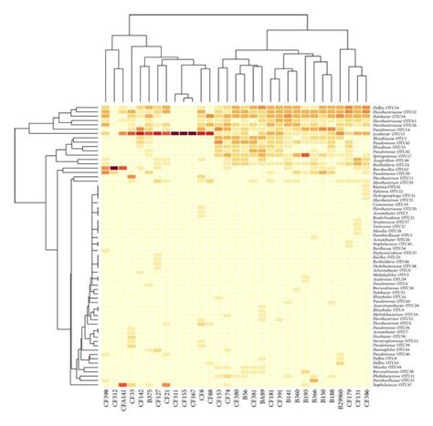 Heatmap Showing Clustering Of Bacterial Communities And Similarities In