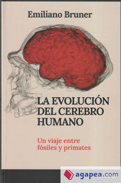 La Evolucion Del Cerebro Humano Emiliano Bruner 9788413612249