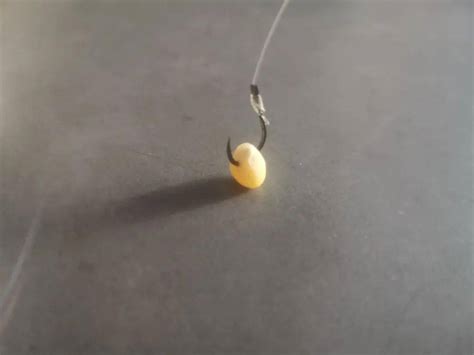 别让鱼钩在关键时刻掉链子！关于它的5个秘密你知道多少？钩子倒刺小钩