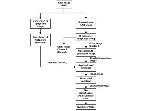 Image Processing Segmentation And Counting Algorithm Download