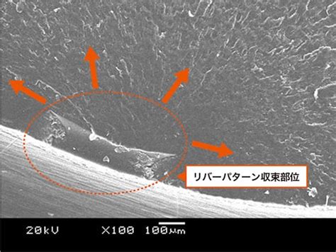 樹脂 ケミカルクラック 要因 樹脂 クラック メカニズム Oajx