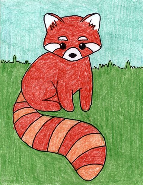 Easy To Draw A Red Panda Face Step By Step Guide
