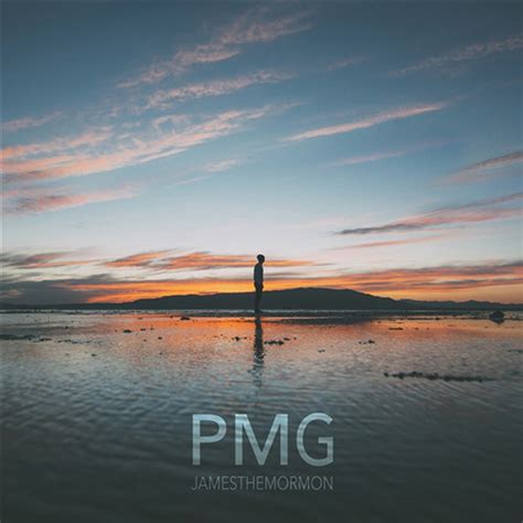 Buy Pmg Online Sanity