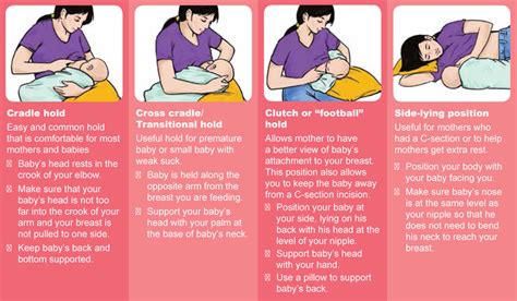 Breastfeeding Techniques Step By Step