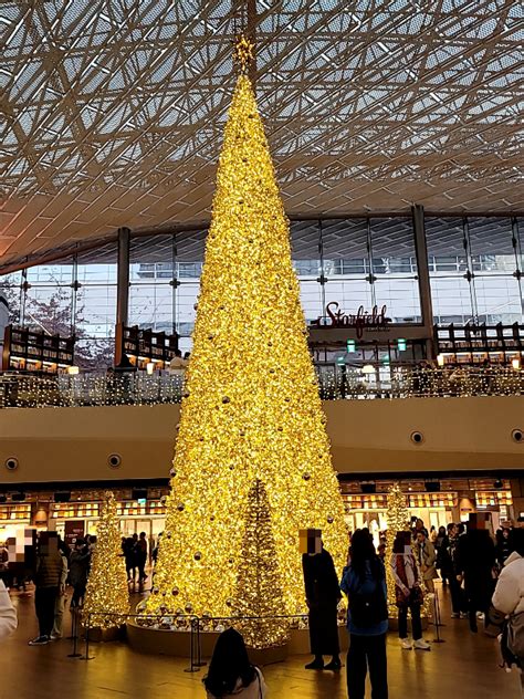 코엑스 크리스마스 트리 명소 별마당 도서관