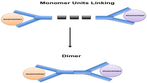 Dimer Definition And Formation Video And Lesson Transcript