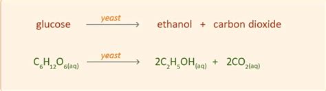 Fermentation Equation Essential Guide To Its Power And Role