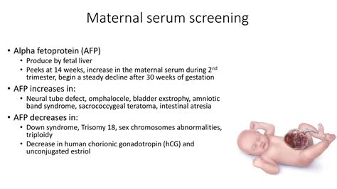 Birth Defects And Prenatal Diagnosis Pptx
