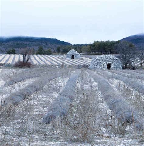 Winterlandschaften Im Vaucluse Provence Tourismus