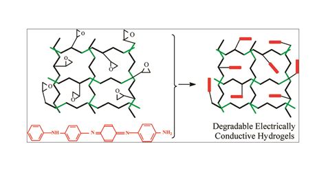 Degradable And Electroactive Hydrogels With Tunable Electrical Conductivity And Swelling