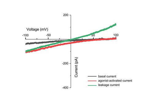 Video Patch Clamp Techniques For Single Endolysosomal Vesicle Analysis
