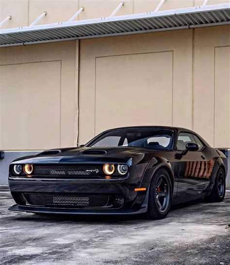 地狱猫电脑高清壁纸 抖音