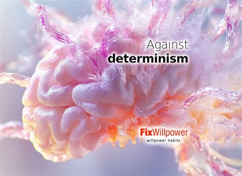 4 Points Science Has Against Determinism Fixwillpower