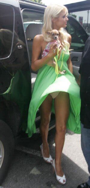 Elmerhomero Navegando