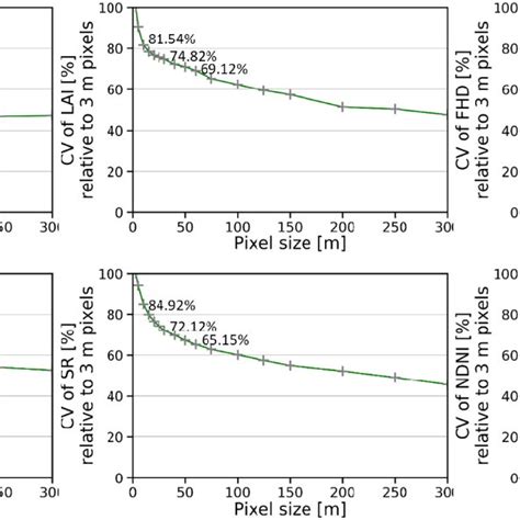 One Dimensional Scale Analysis For Morphological Top And