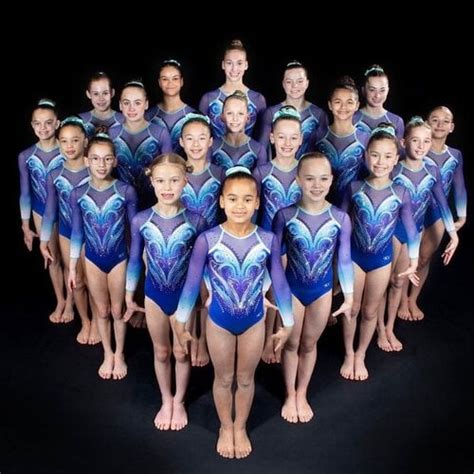 Kv Leotards Afforable Super Sparkly Leotards