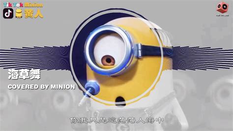 海草舞 Cover By Minion 抖音小黄人 Tik Tok Minions Youtube