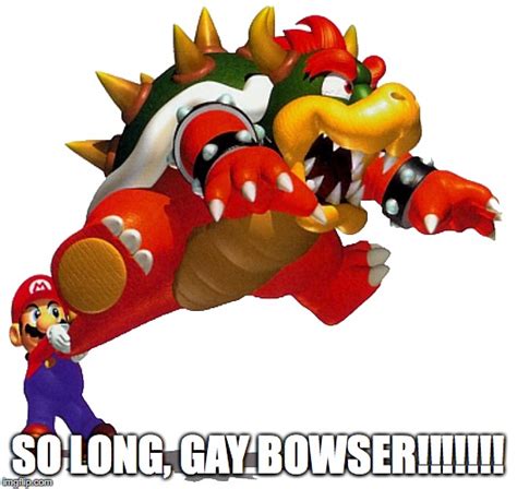 So Long Gay Bowser By Zacktv321 On Deviantart