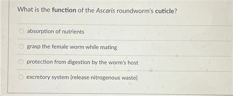 Solved What Is The Function Of The Ascaris Roundworms