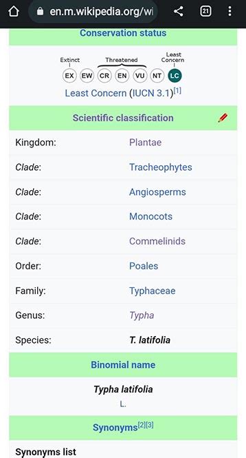 Taxonomy Repetition Of Clade In A Taxonomic Tree Biology Stack
