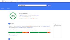 페이지의 성능 사이트 속도 로딩 속도 측정 및 향상 방법 PageSpeed Insights Webpagetest org 검색상위노출과 매출증대를 이끄는 검색엔진