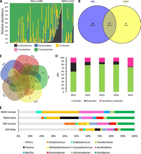 Microbial Diversity And Distribution Across Different Cohorts A