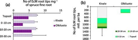 Number Of Ectomycorrhizal Ecm Root Tips Per A Mg Of Fine Root
