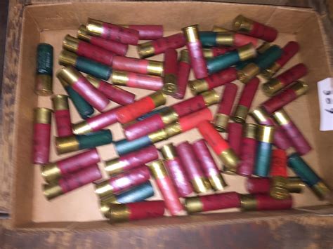Lot 12 Guage Shells