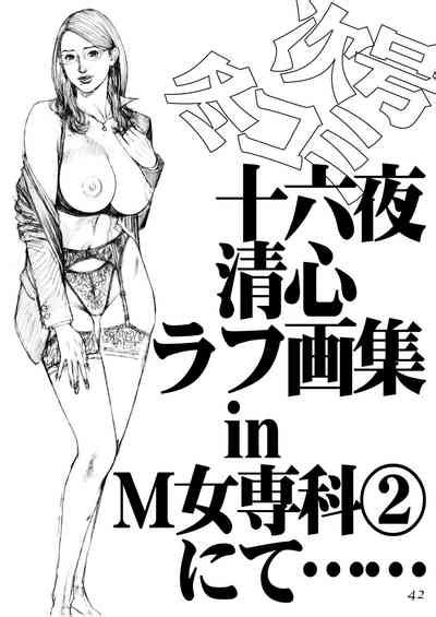 Izayoi Seishin Rough Gashuu In M Jo Senka Nhentai Hentai Doujinshi