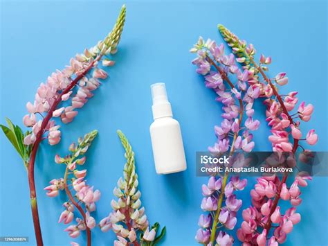 파란색 테이블에 흰색 플라스틱 스프레이 병과 꽃 루핀의 모형 천연 유기농 스파 화장품 및 액체 항균 스프레이 개념 플랫 레이