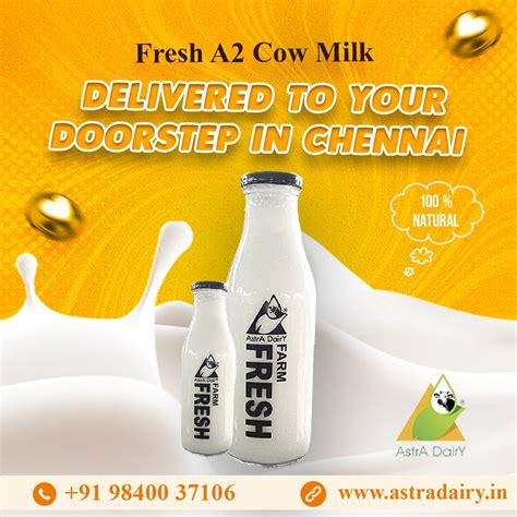 Unlocking The Benefits Of A2 Cow Milk Astradairys Premium Choice