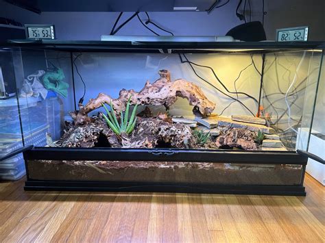 Just Finished My Bioactive Leopard Gecko Enclosure R Geckos