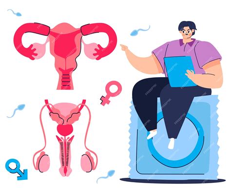 Free Vector Hand Drawn Sex Toys Illustration