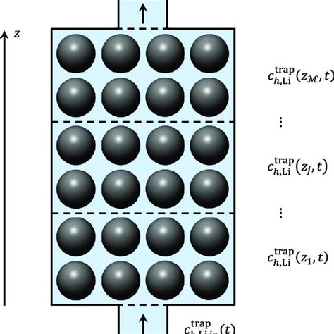 Numerical Discretization Of The Trap Container Which Contains The Y Download Scientific Diagram