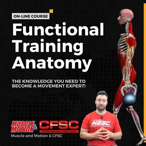 Functional Training Anatomy Online Course To Become A Better Coach