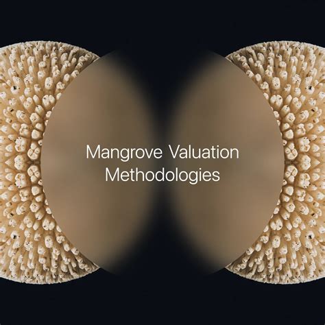 Vcs Project Methodologies → Term