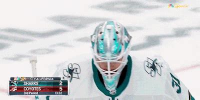 Sharks Tumbex