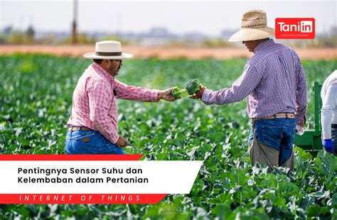 Pentingnya Sensor Suhu Dan Kelembaban Dalam Pertanian