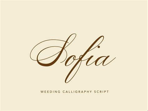 Sofia Script Wedding Font Script Font For Wedding Invitations Handwritten Calligraphy Font
