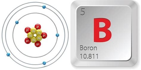 Mengenal Pupuk Boron Fungsinya Pada Tanaman Dan Dosis Pemupukan Untuk