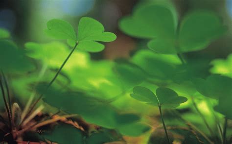 Obituary Information For Michael Lee Webber