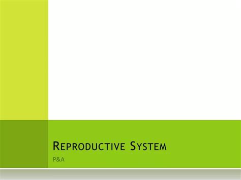 Ppt Reproductive System Powerpoint Presentation Free Download Id