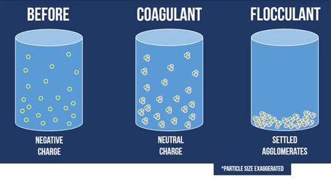 Intern View How Flocculation Helps Filtration