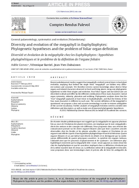 Pdf Diversity And Evolution Of The Megaphyll In Euphyllophytes