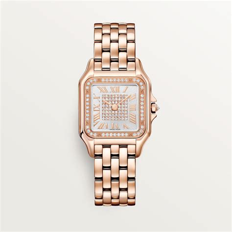 Cartier Panthère Wjpn0078 Saat Resmî Satış Noktası UĞur Saat