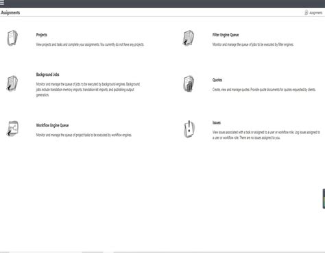 Tms Evaluation Amy Lyu
