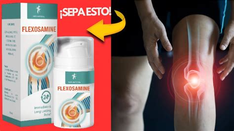 Flexosamine Gel Flexosamine ¿donde Comprar ¿funciona La Flexosamine