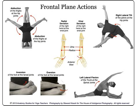 Yoga Poses For Frontal Plane Understanding The Sagittal Plane 6